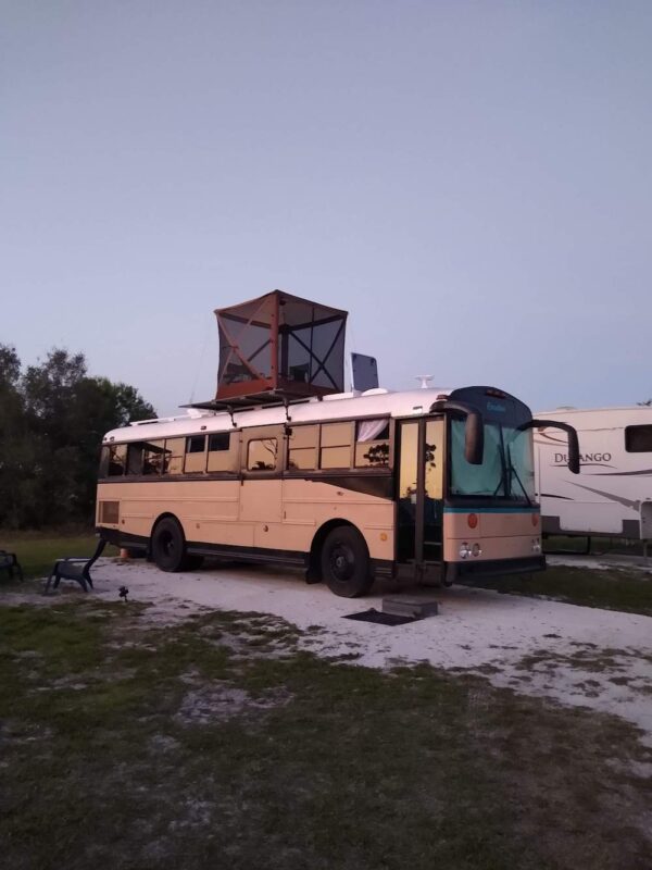 Demystifying the Skoolie Conversion Process: A Simple Step-by-Step ...