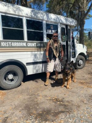 Traveling With Skoolie Pets - The Ultimate Guide - Skoolie Project