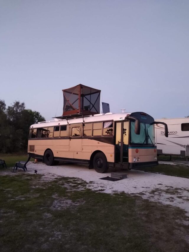 Choosing A Skoolie - The Ultimate Guide - Skoolie Project